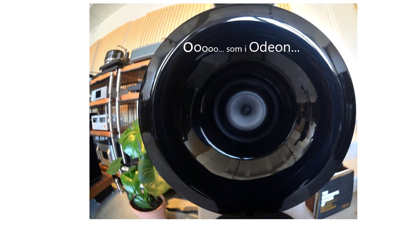 Trodde helgen skulle bli lugn men det kom ett par horn i vägen ...